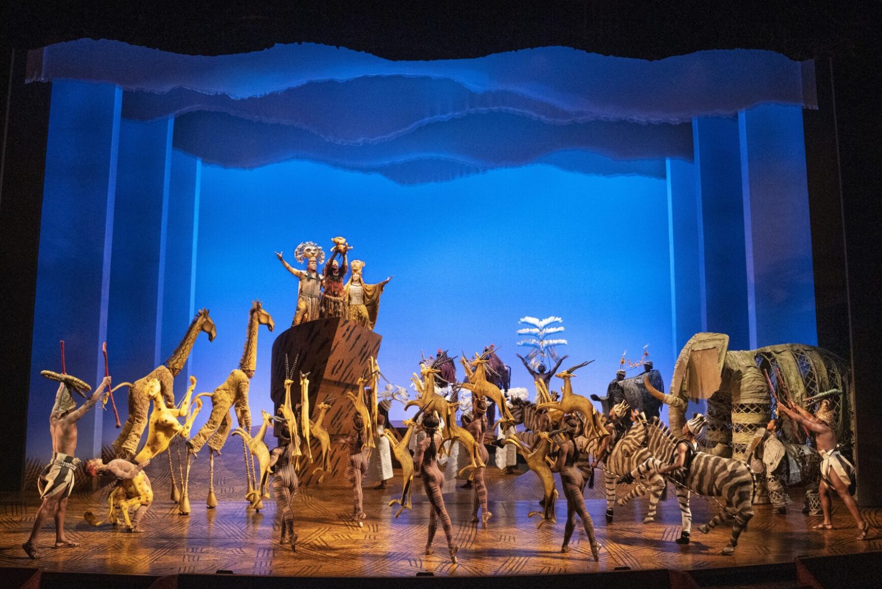 Broadway Sacramento: Disney's The Lion King - Downtown Sacramento ...